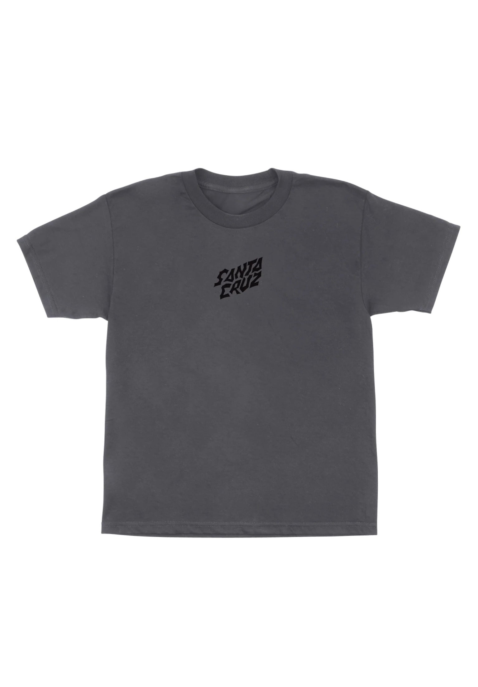 X Stranger Things Screaming Lights Youth Santa-Cruz T-Shirt in charcoal ...